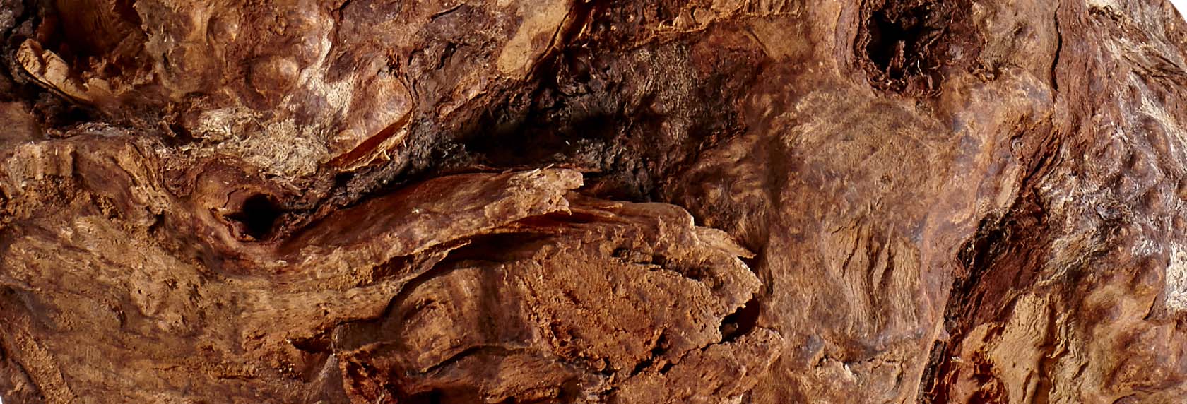 Chewroots – Green and Wilds - Trade